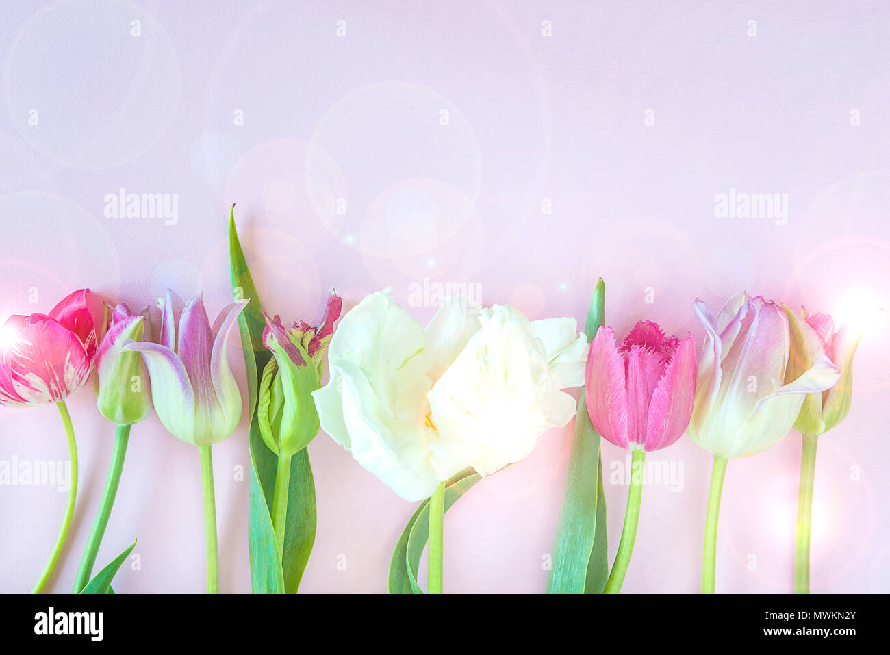 Abstract spring background Stock Photo - Alamy