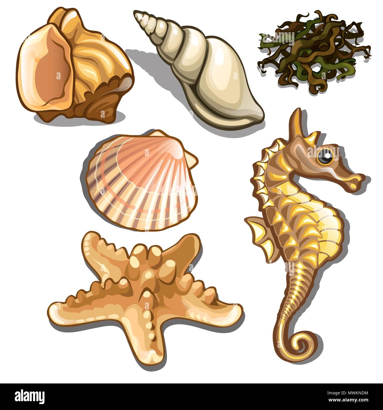 Set of sea animals isolated on white background. Seafood. Vector ...
