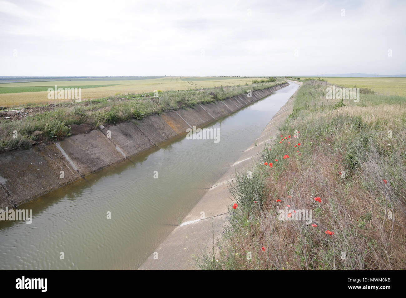 Artificial Water Channels