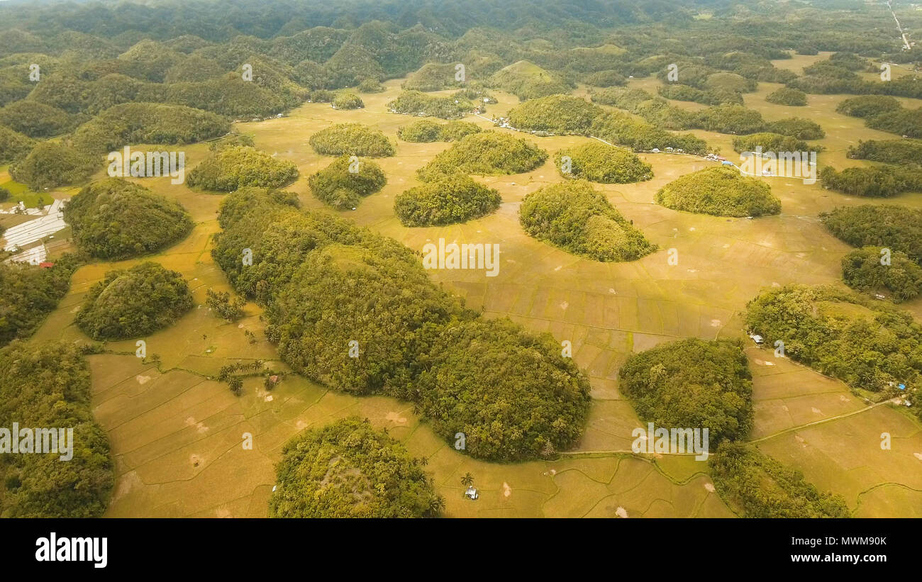 Amazingly shaped Chocolate hills on sunny day on Bohol island ...