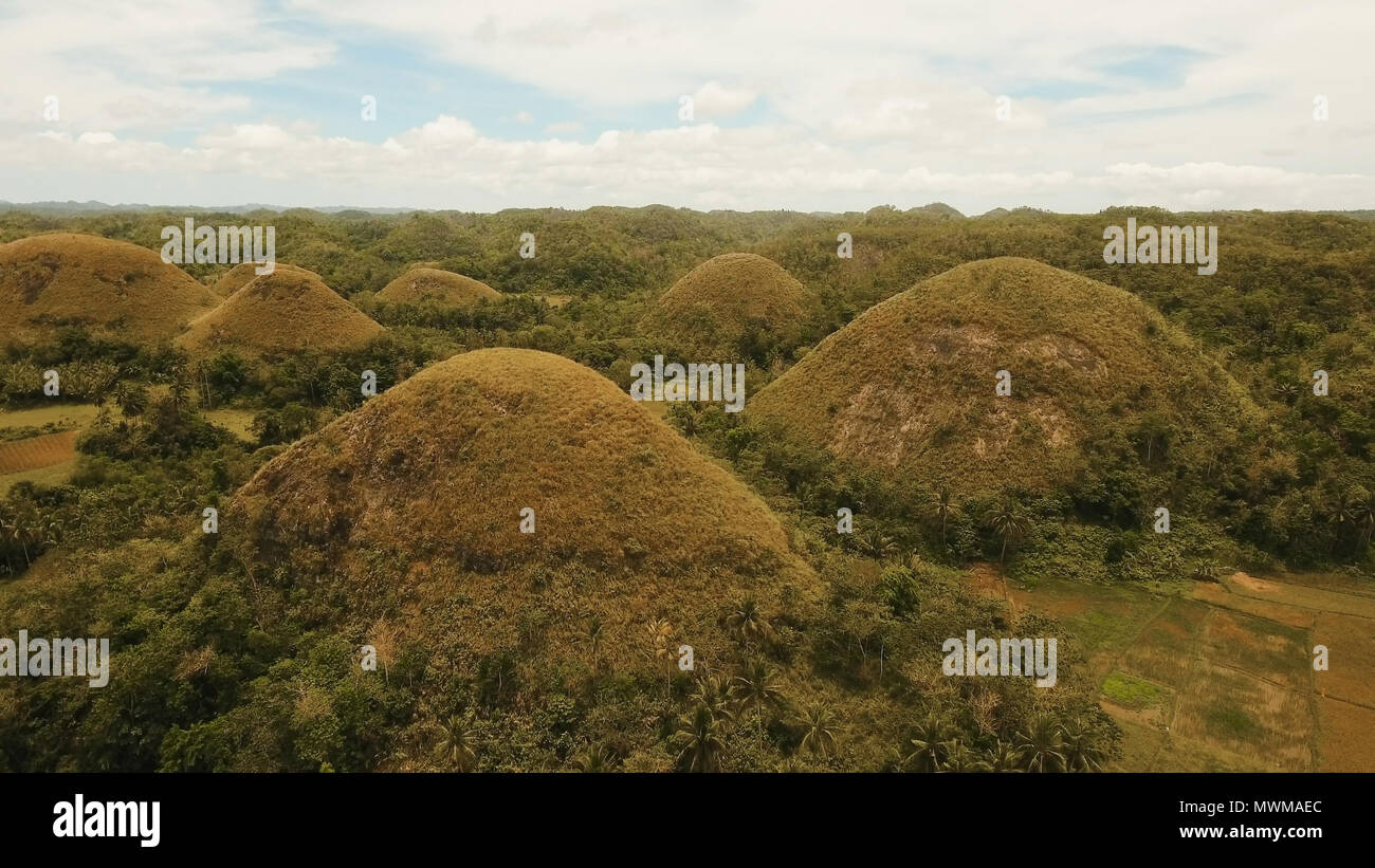 Amazingly shaped Chocolate hills on sunny day on Bohol island ...