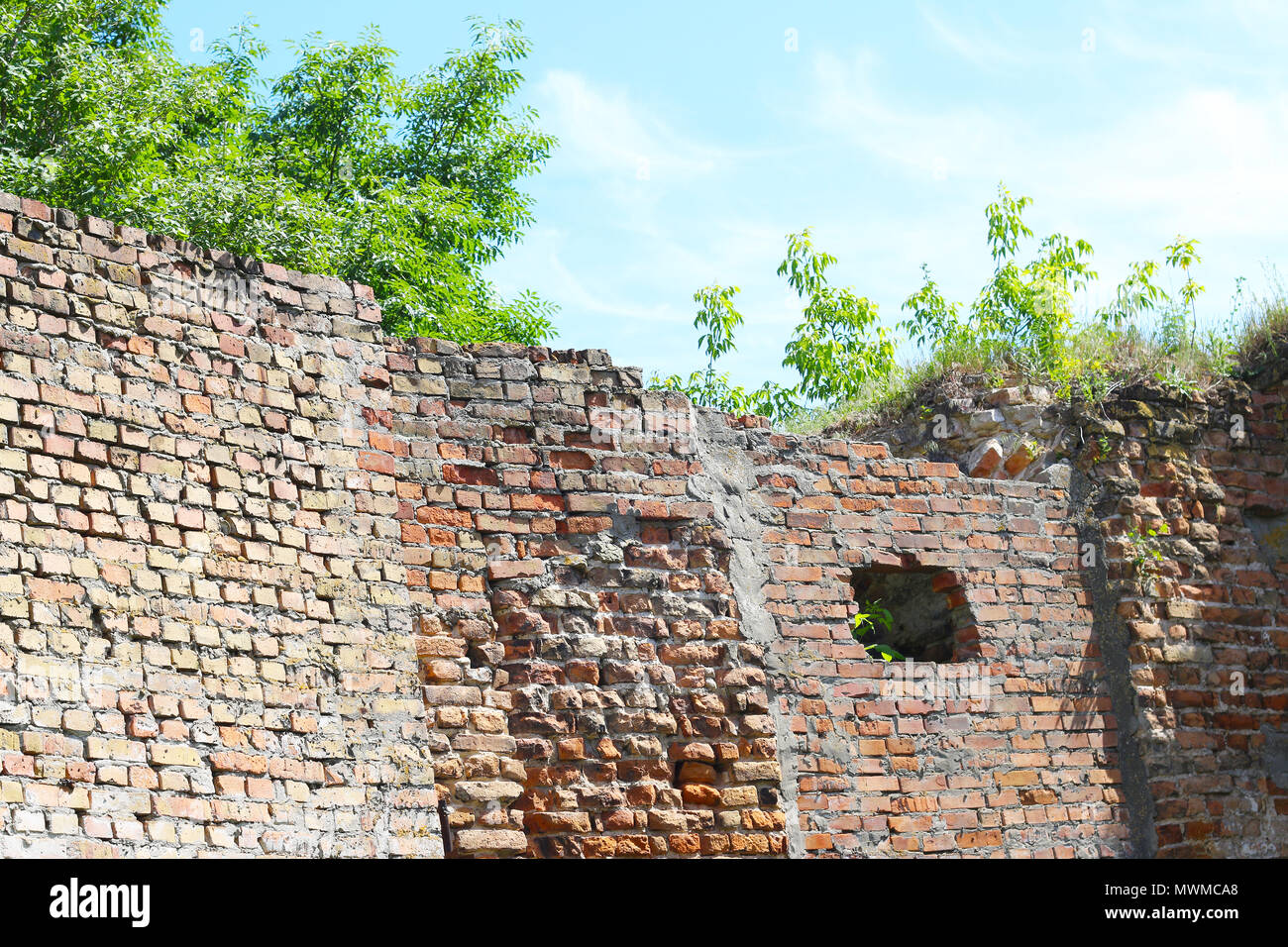 old castle wall plants and sky Stock Photo - Alamy
