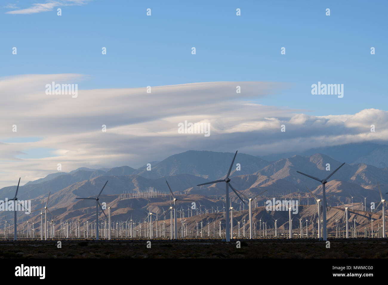 The San Gorgonio Wind Park in the desert of Palm Springs, California ...