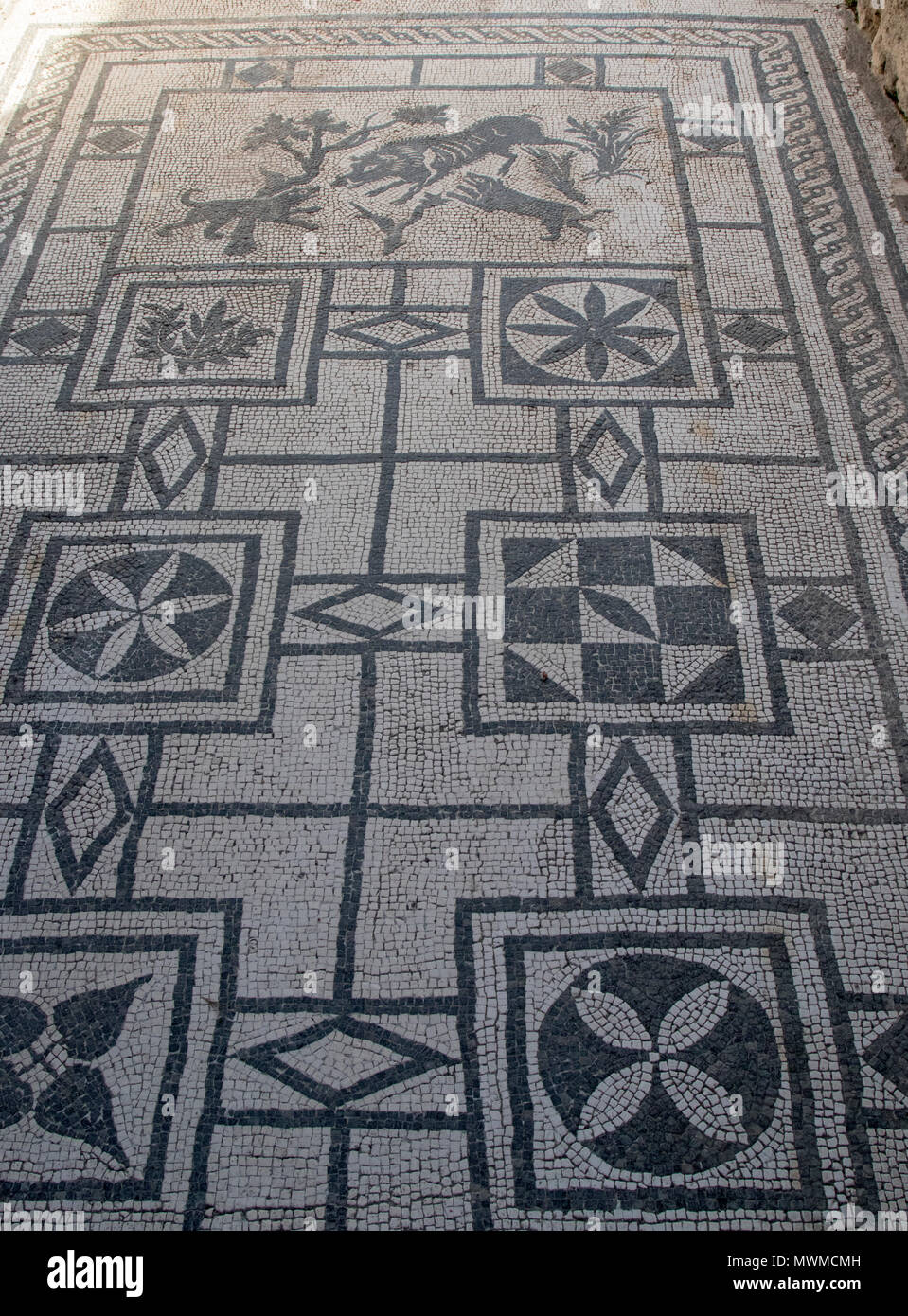 mosaic on floor of excavated ruin, Pompeii, Italy, near Mount Vesuvius ...