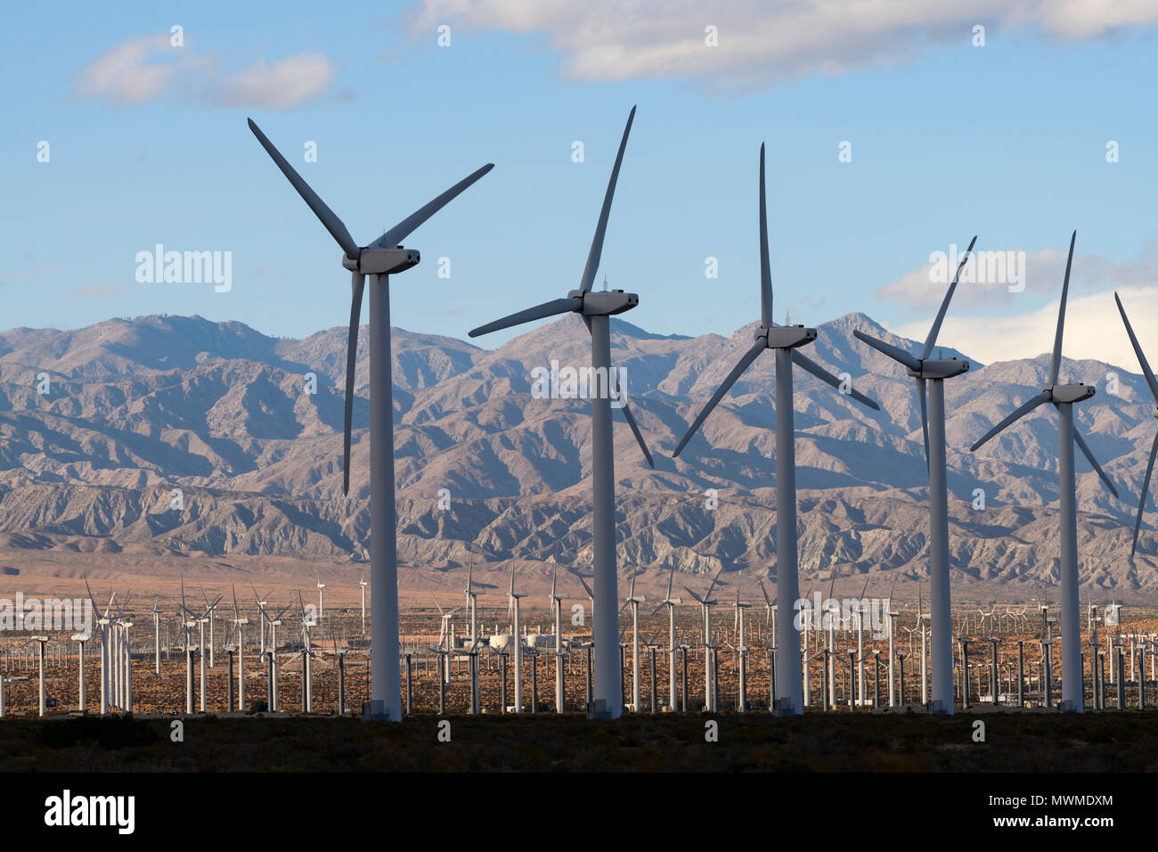 The San Gorgonio Wind Park in the desert of Palm Springs, California ...