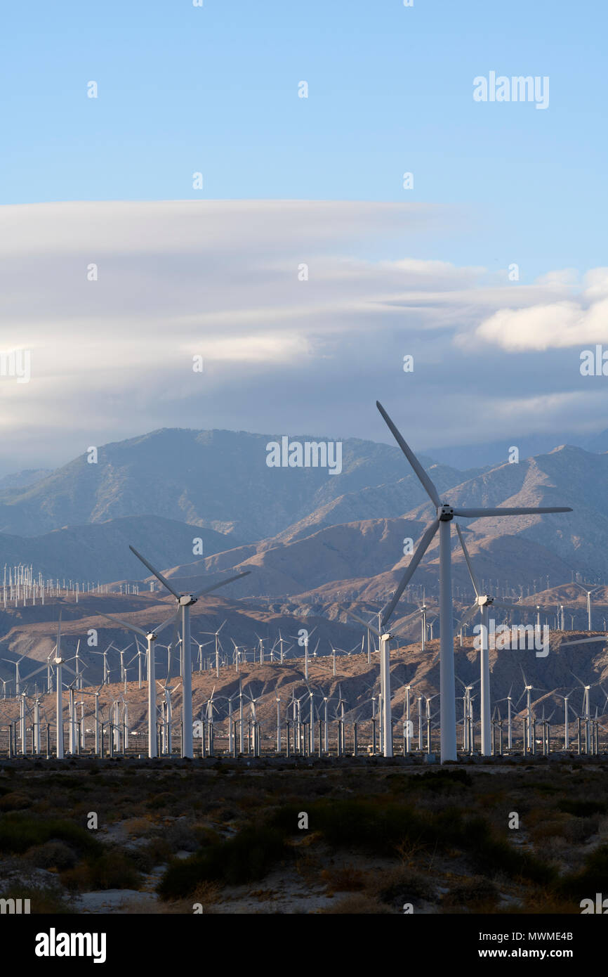 The San Gorgonio Wind Park in the desert of Palm Springs, California ...