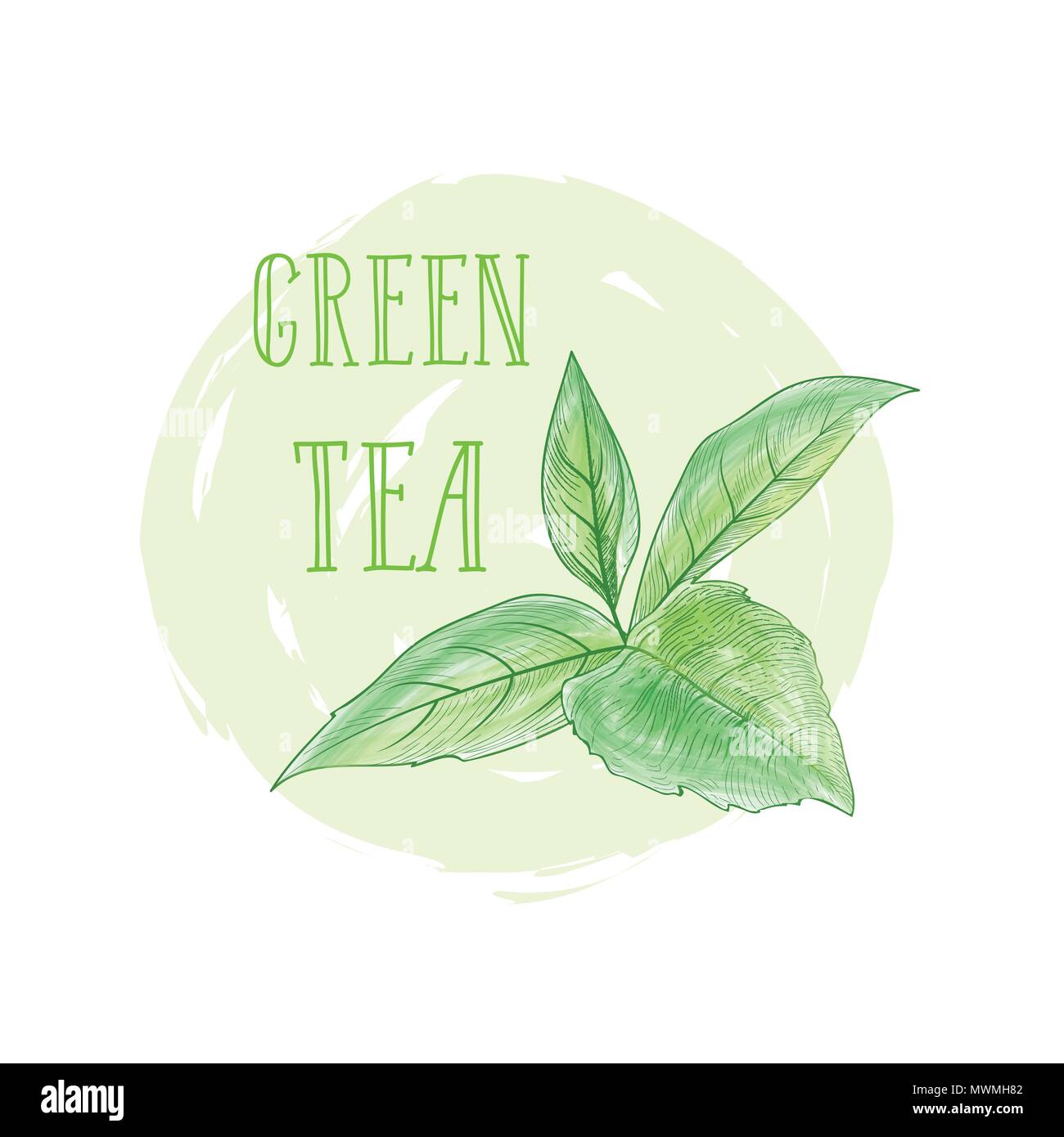 Green tea tree branch herb label with lettering GREEN TEA. Tea leaves ...