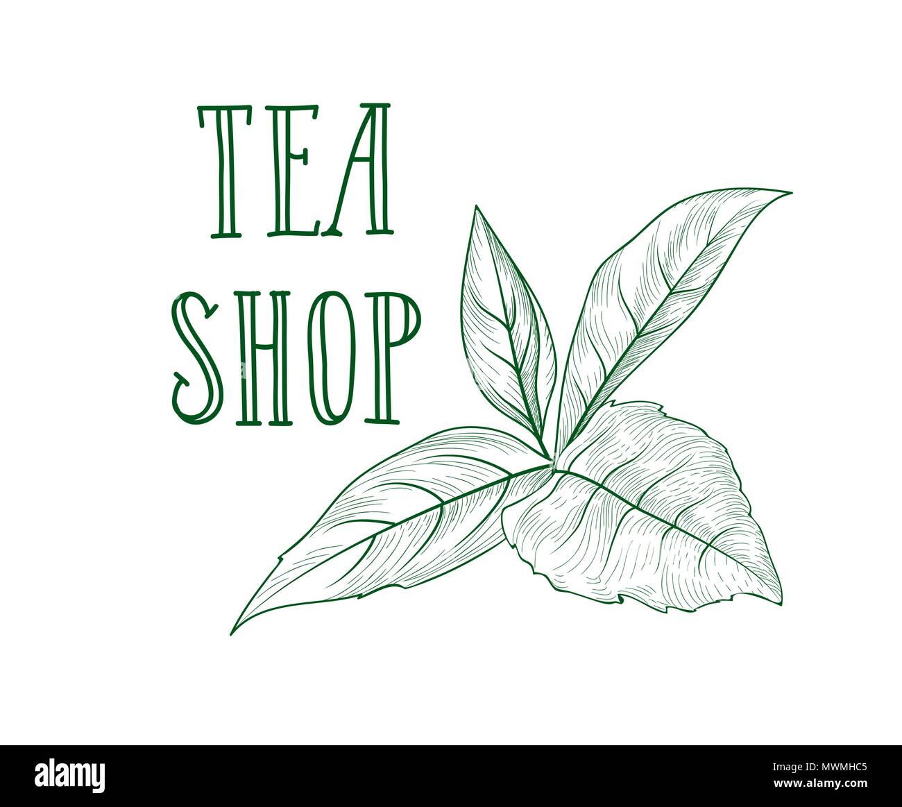 Green tea tree branch herb label with lettering TEA SHOP. Tea leaves ...