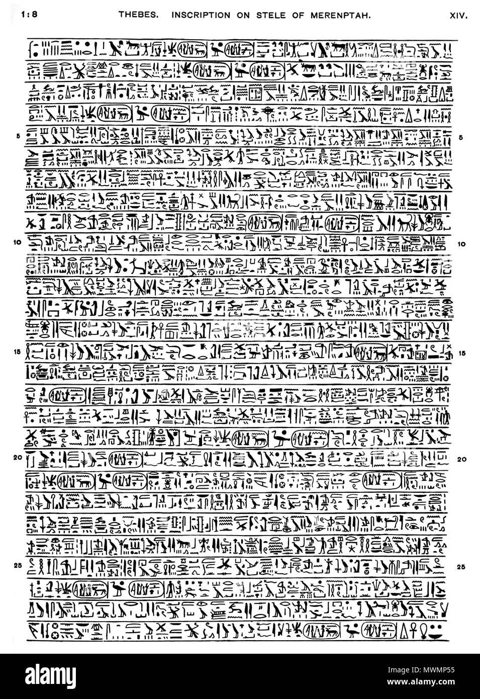 28 lines hi-res stock photography and images - Alamy