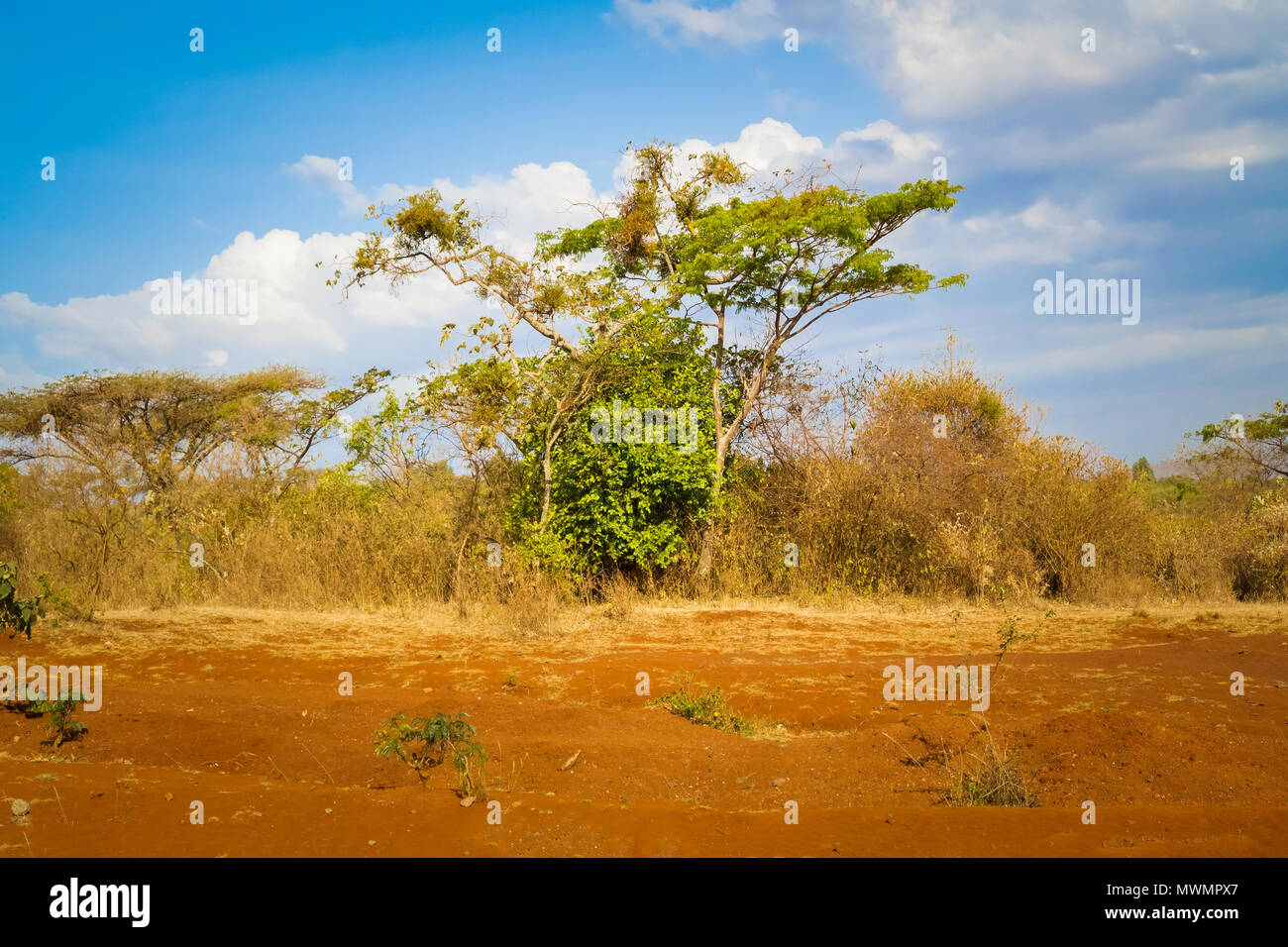 Rural landscape along road 80 near Yabello in Ethiopia Stock Photo - Alamy