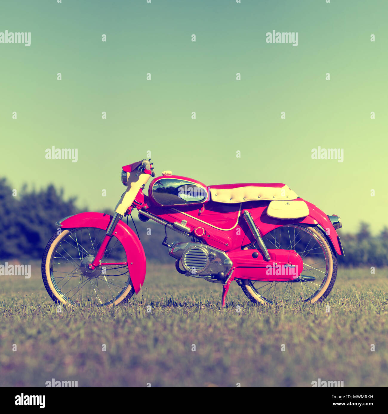 Retro motorcycle concept. Red vintage bike in field. Retro style photo ...