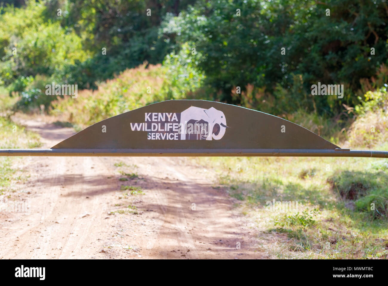 Marsabit national park hi-res stock photography and images - Alamy