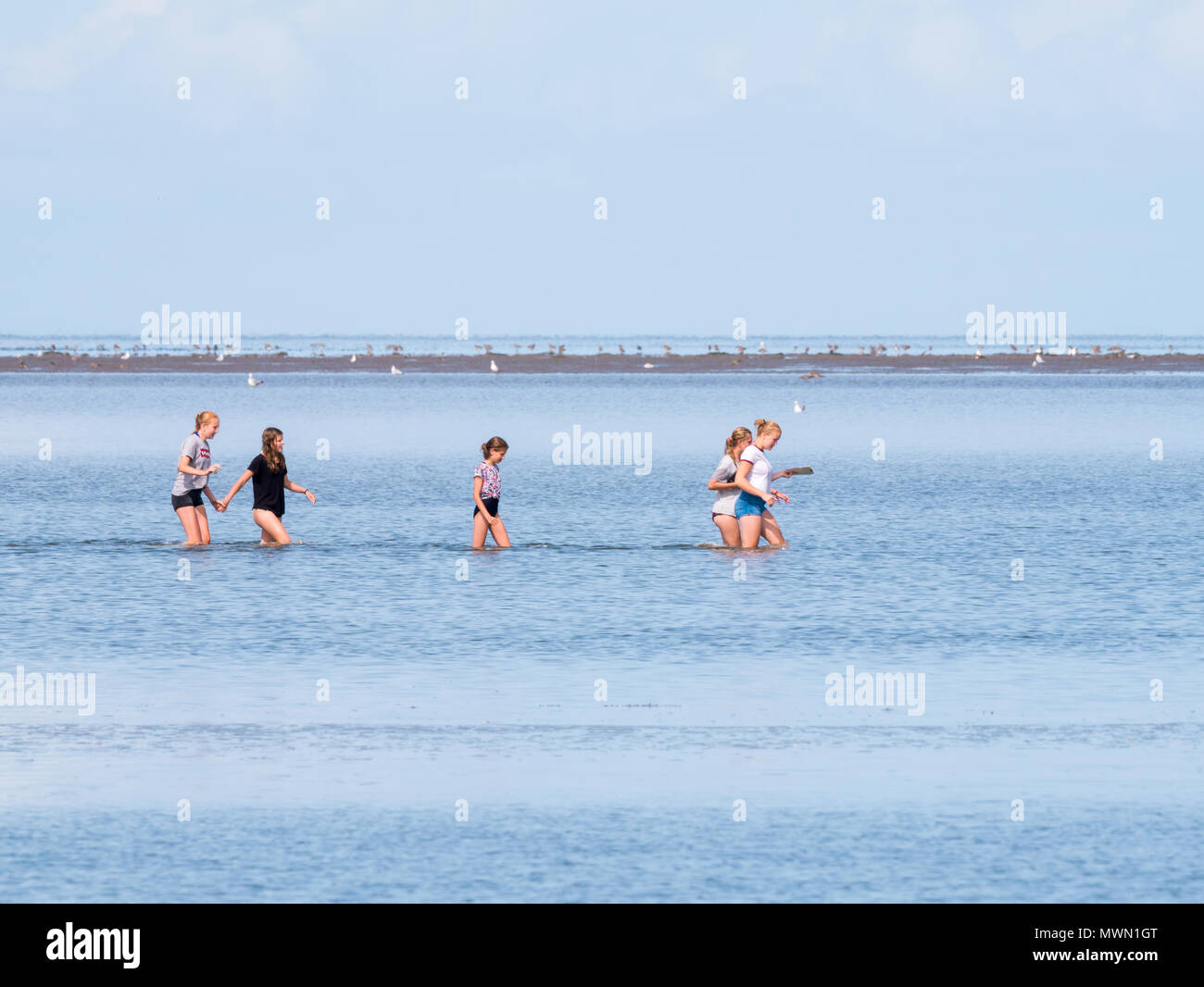 Group of women walking hi-res stock photography and images - Alamy