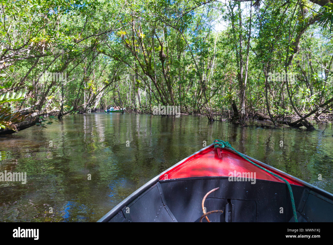 Itacare, Brazil - December 9, 2016: Canoe crossing a mangrove canal ...