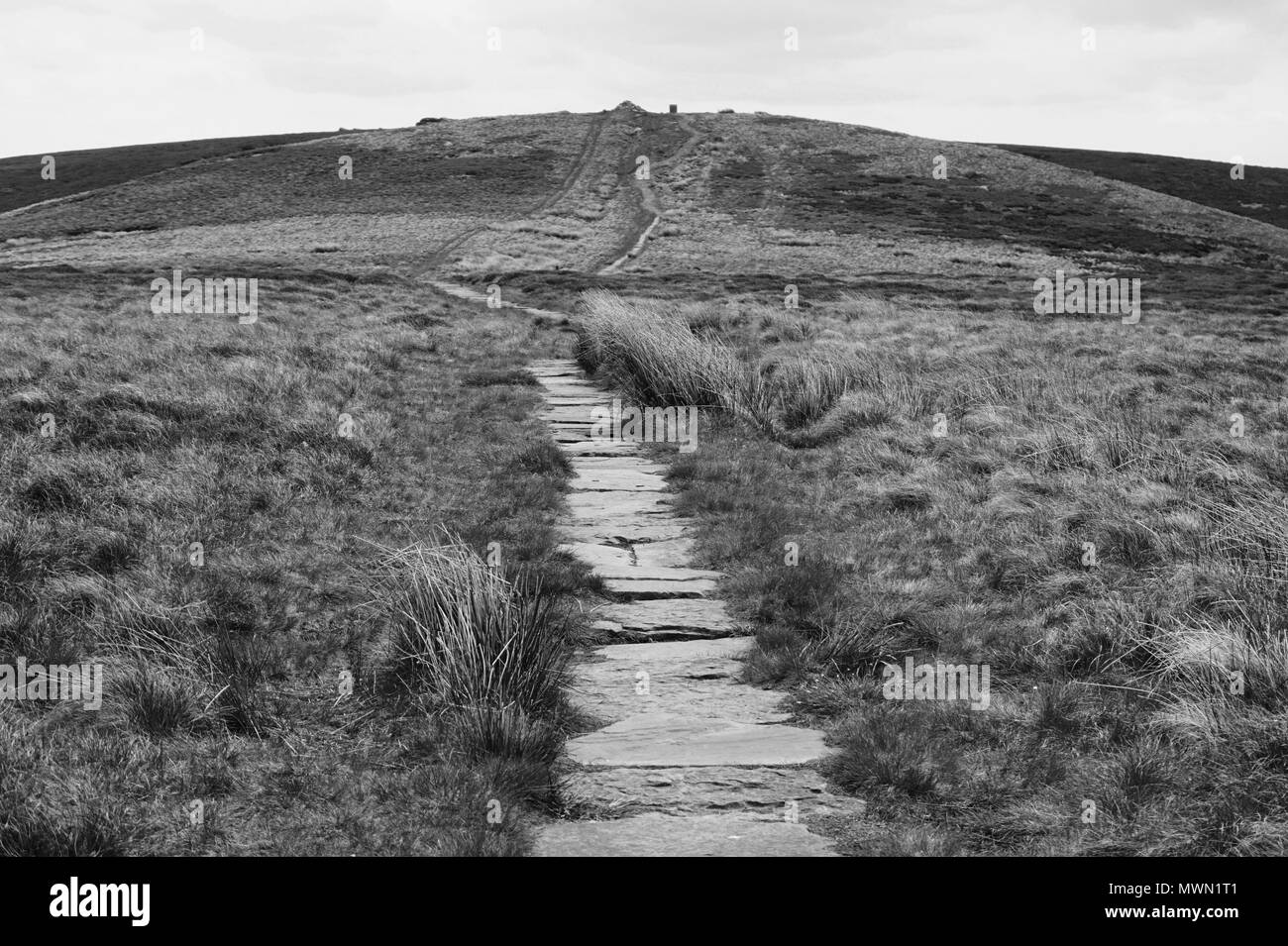 Derwent walk country park hi-res stock photography and images - Alamy