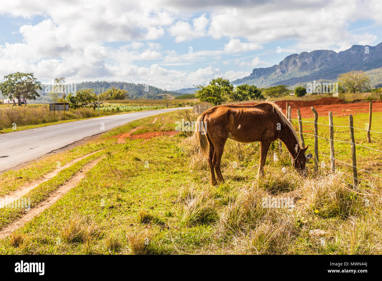 Cuban farm landscape hi-res stock photography and images - Alamy