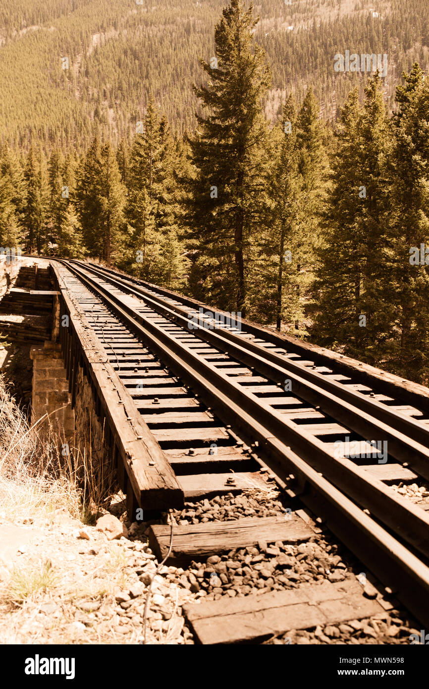 Railroad tracks through mountain countryside and pine tree with vintage ...