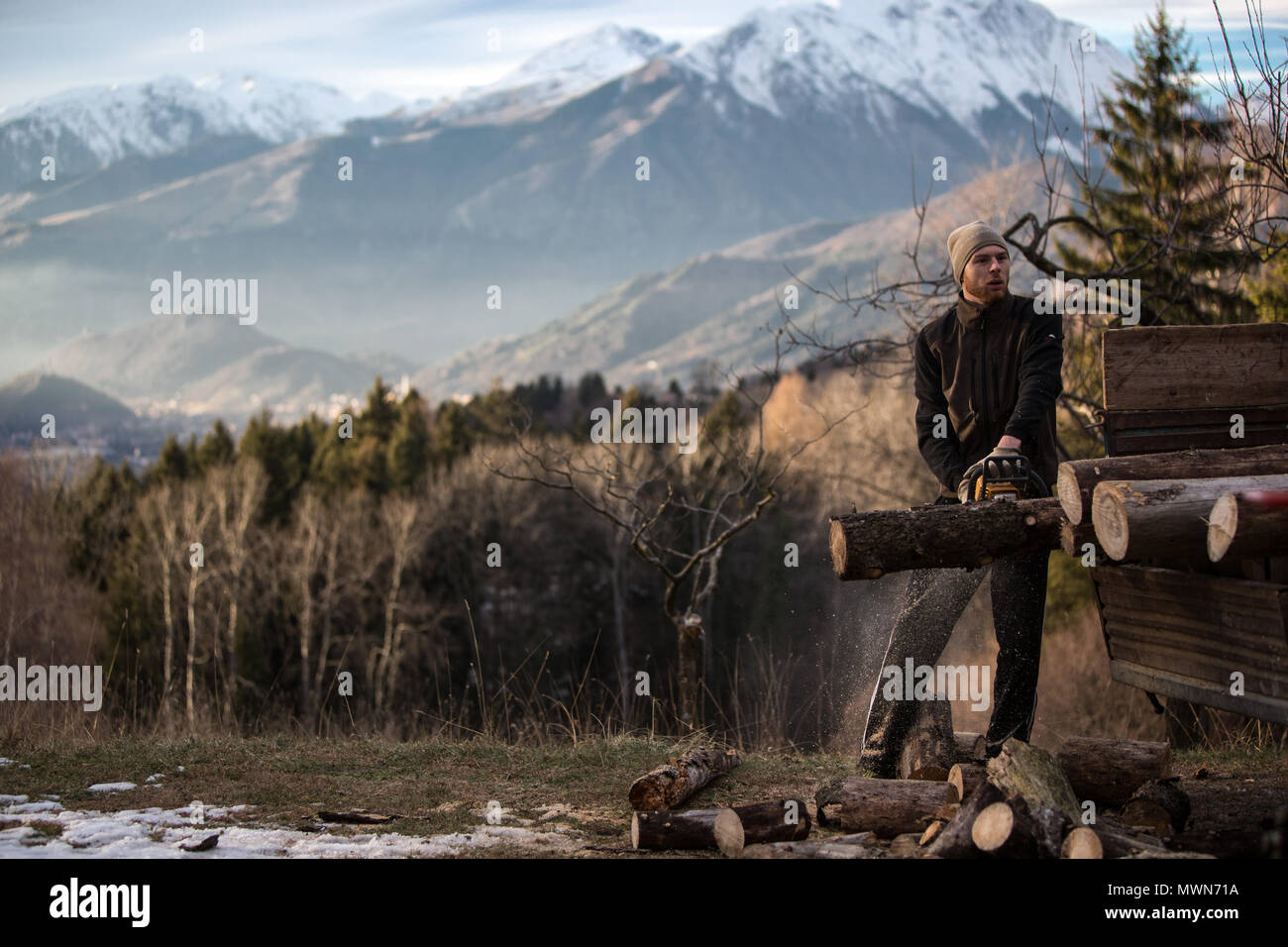 Lumberjack cutting wood with a chainsaw Stock Photo - Alamy