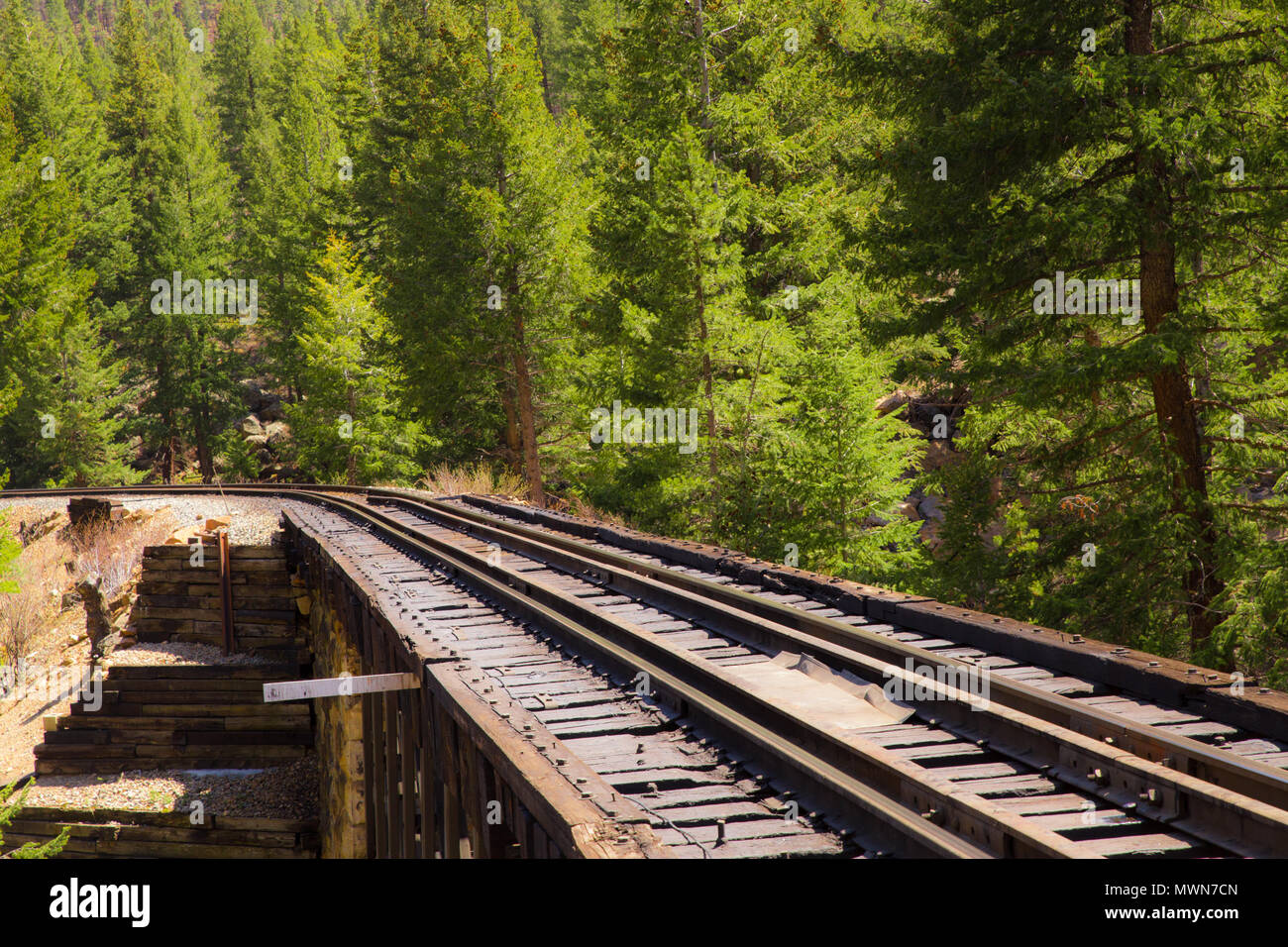 Railroad and pine trees hi-res stock photography and images - Alamy