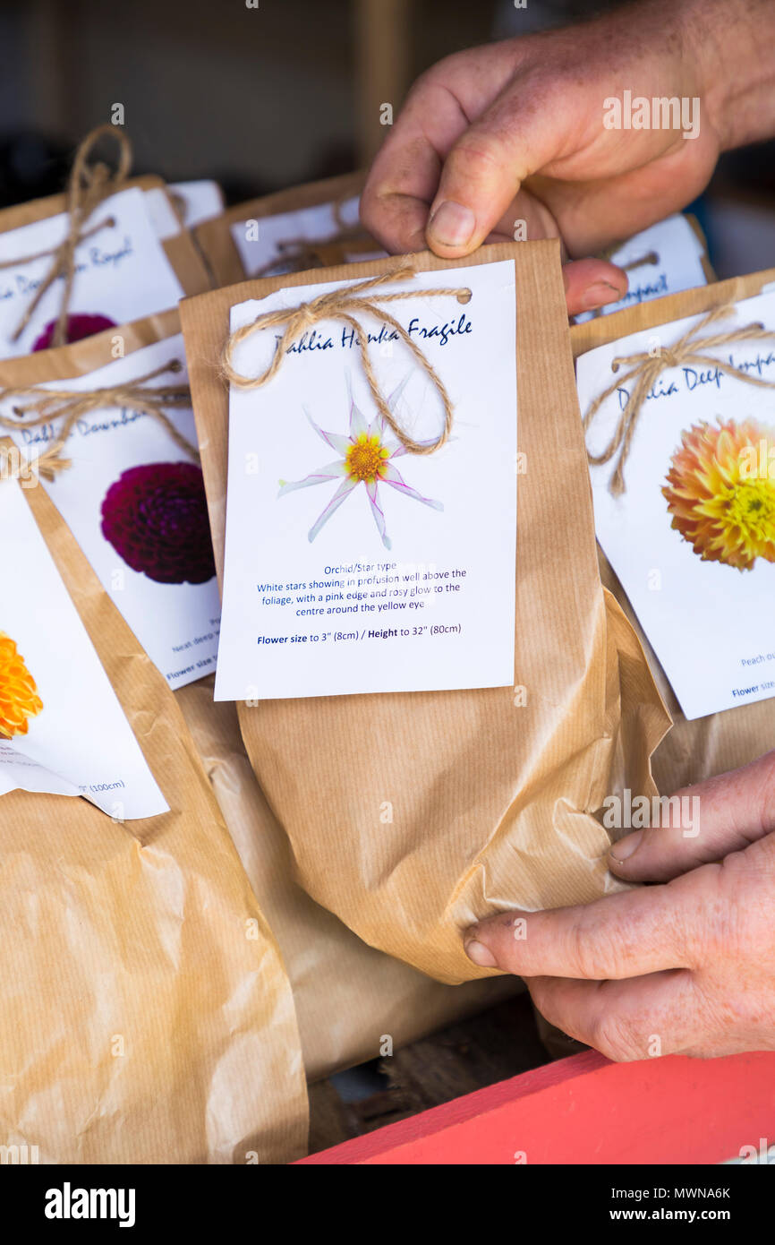 A variety of Dahlia tubers in sealed packets Stock Photo - Alamy