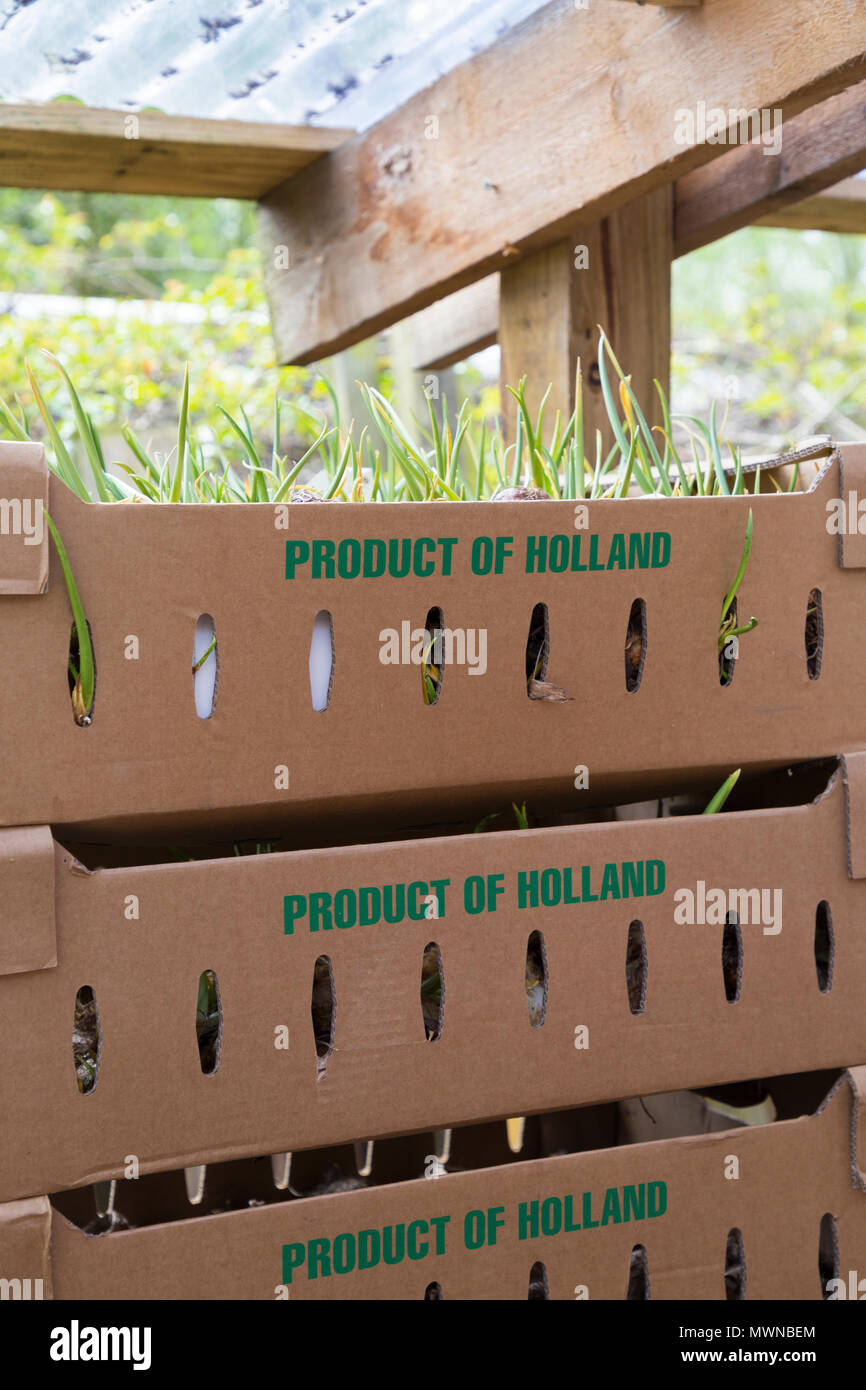 Boxes imported hi-res stock photography and images - Alamy