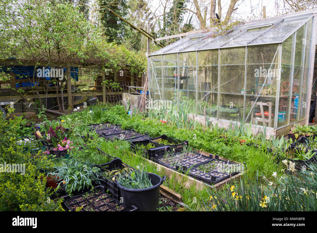 Imogens hi-res stock photography and images - Alamy