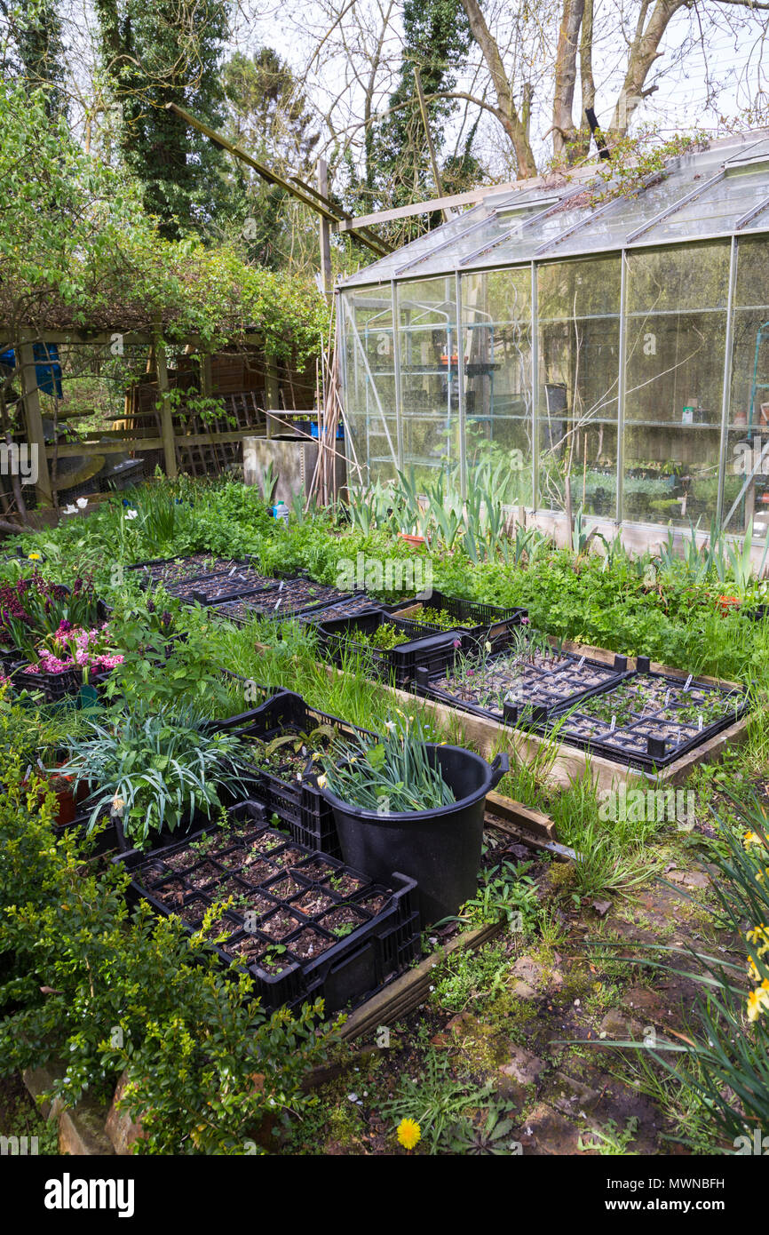Imogen's greenhouse and test beds Stock Photo - Alamy