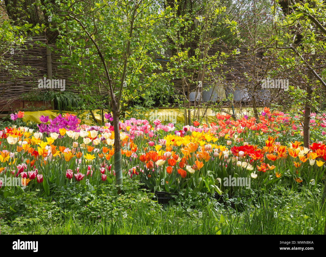 At the bottom of my garden hi-res stock photography and images - Alamy
