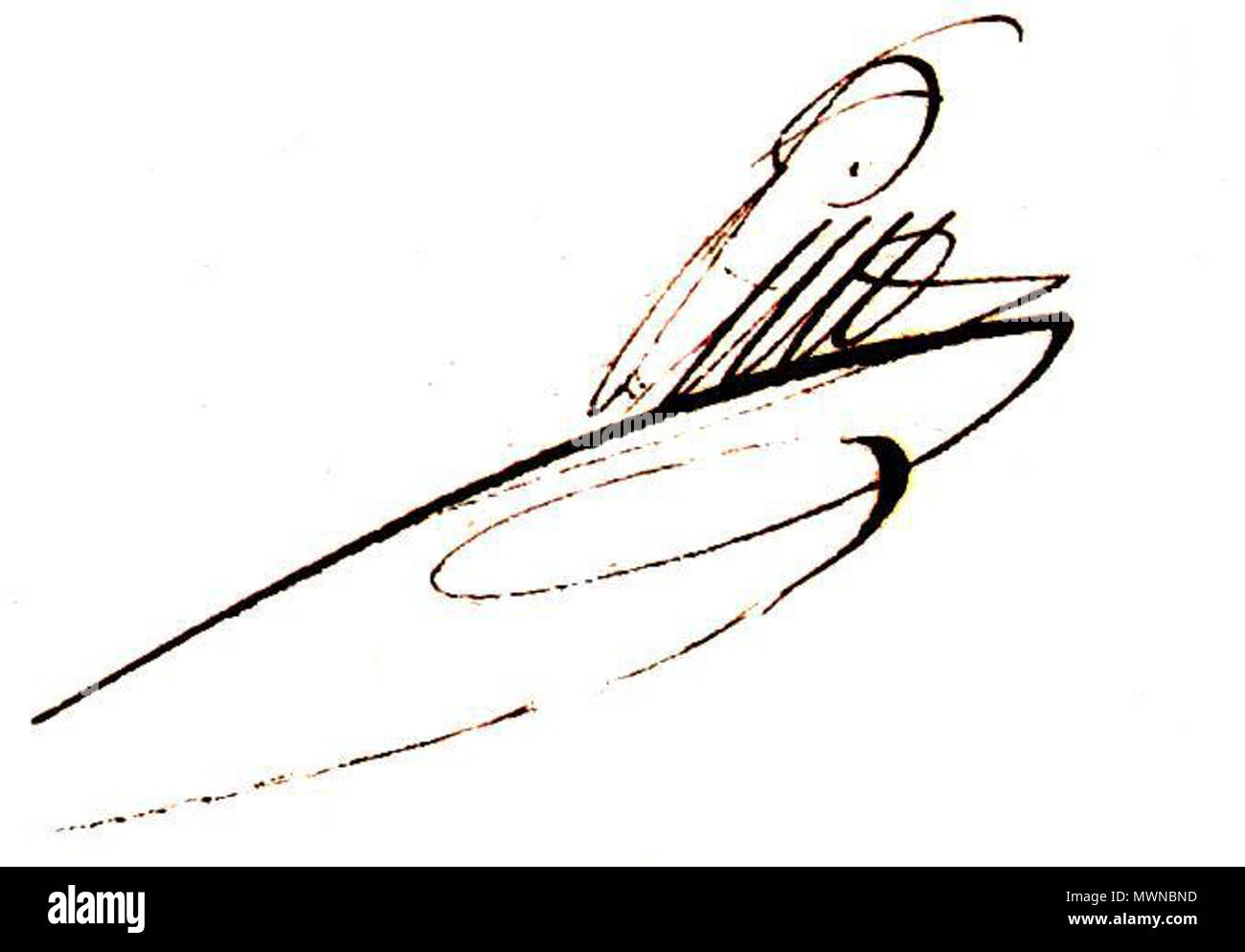 . Français : Signature de Domenico Pino . XIXe siècle 485 Signature ...