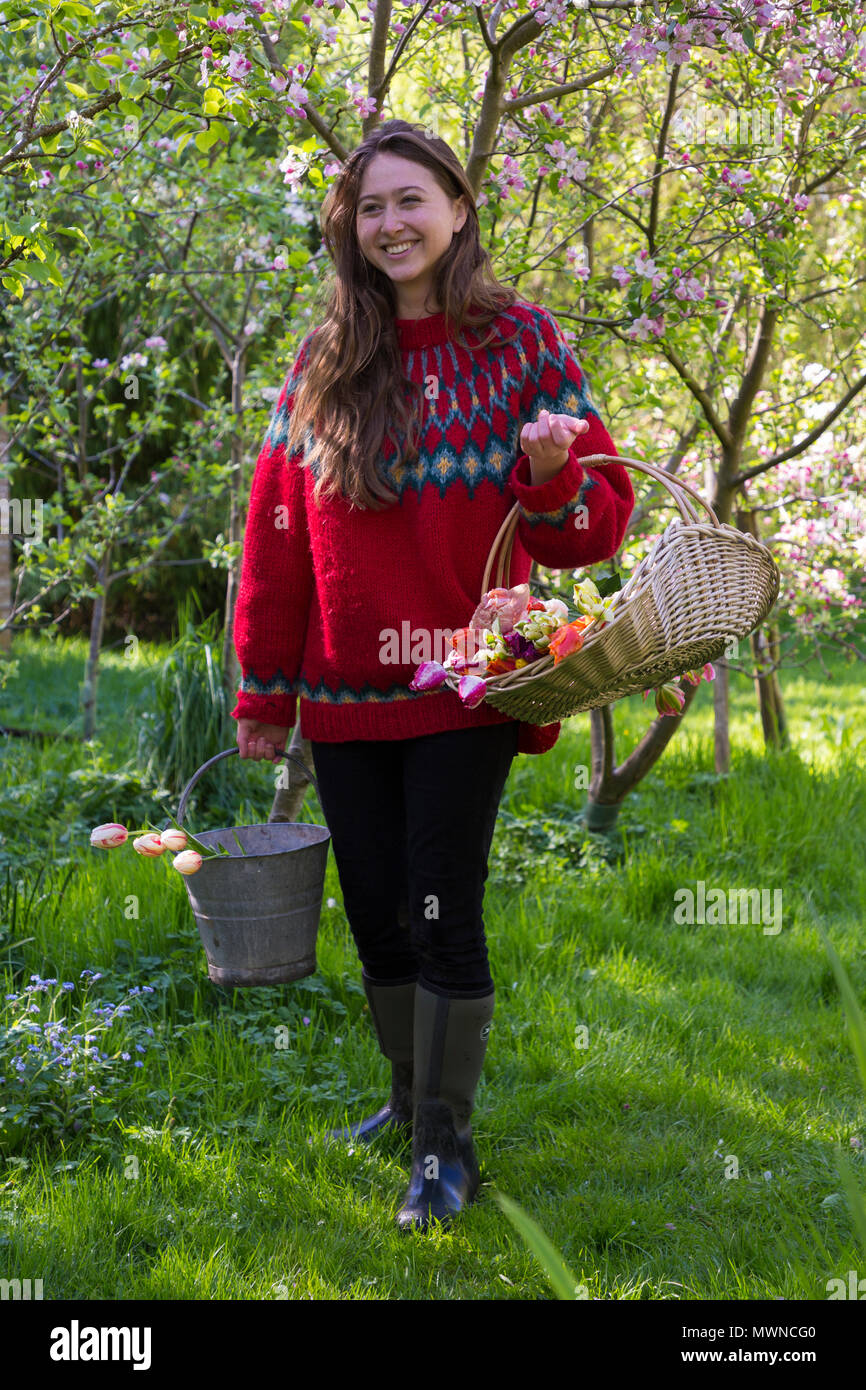 Imogen Long carrying a trug and bucket of cut Tulips Stock Photo - Alamy