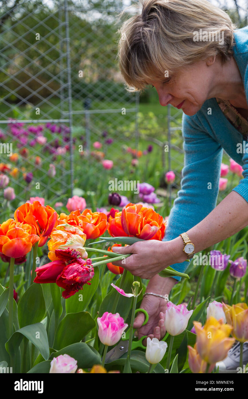 Cutting it angela hi-res stock photography and images - Alamy
