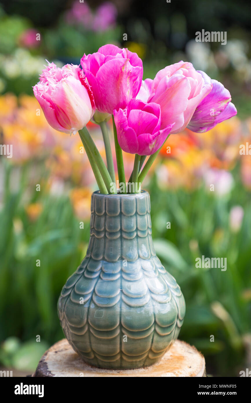 A pink themed Tulip arrangement in a green vase. Featuring Tulipa ...