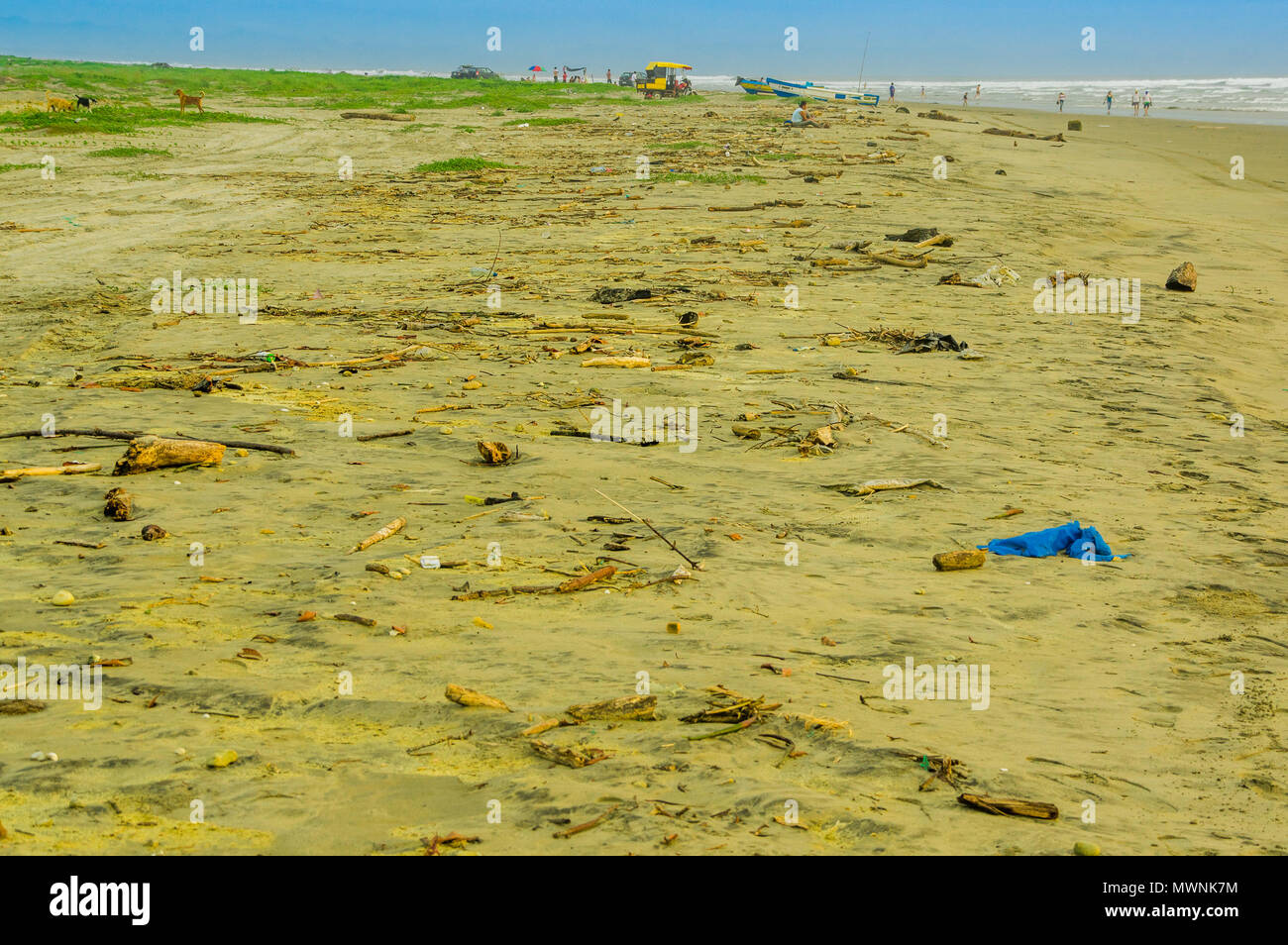 Outdoor view of discarded garbage in the seashore of the beach in the ...