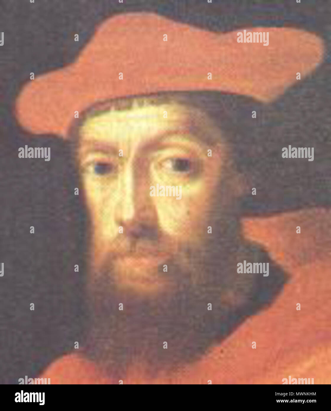 . Reginald Pole} 514 Reginald Pole Stock Photo - Alamy