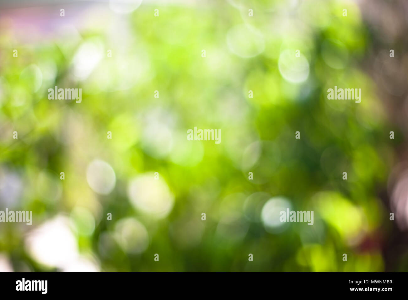 Blurred defocused natural background Stock Photo - Alamy