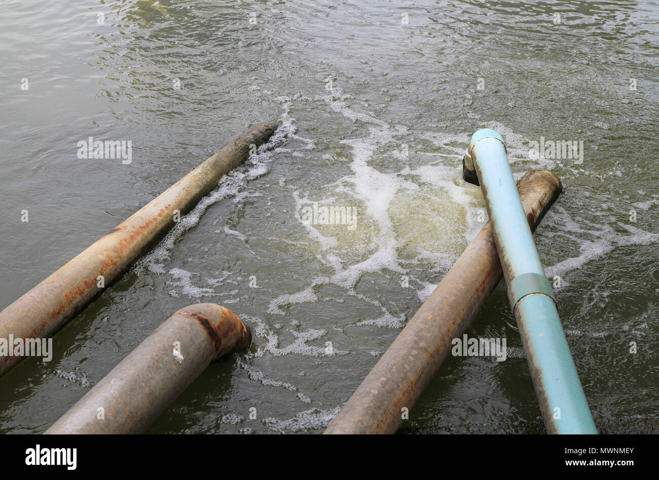 Stagnant drainage water hi-res stock photography and images - Alamy