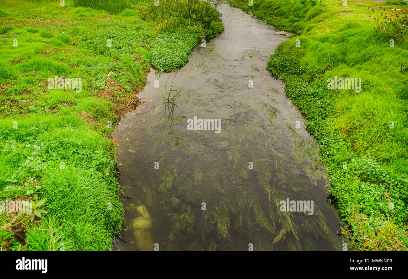 Outdoor view of small creek flowing in the ground of a land Stock Photo ...