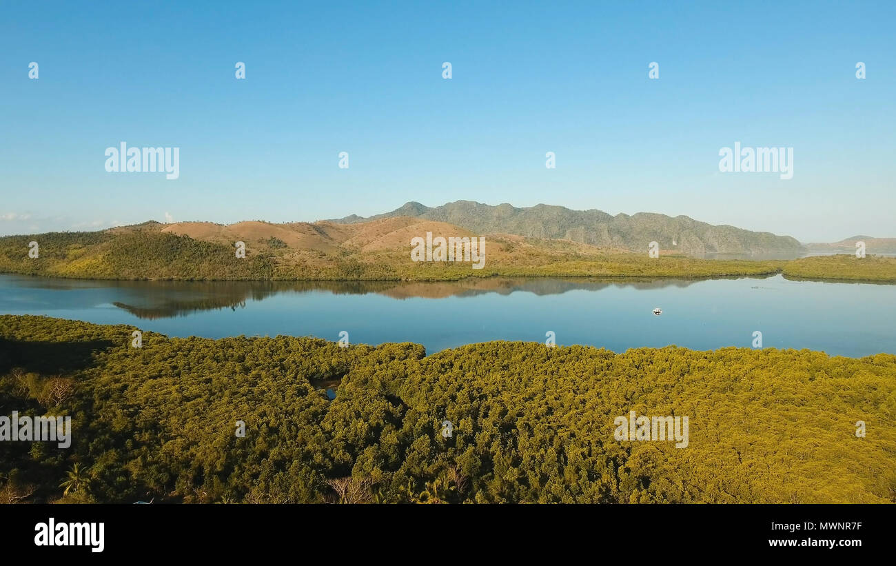 Tropical landscape, at sunrise time with mountains, tropical forest ...
