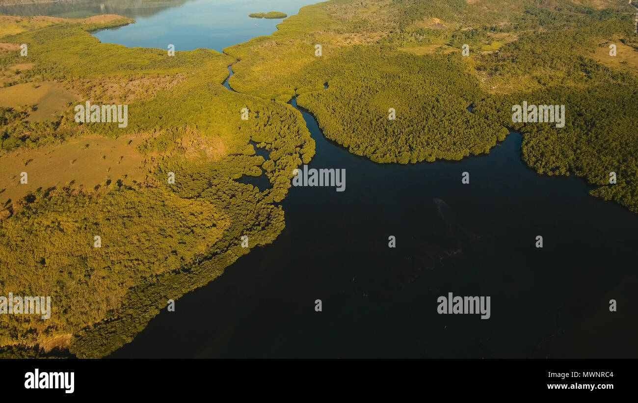 Forest river aerial view hi-res stock photography and images - Alamy