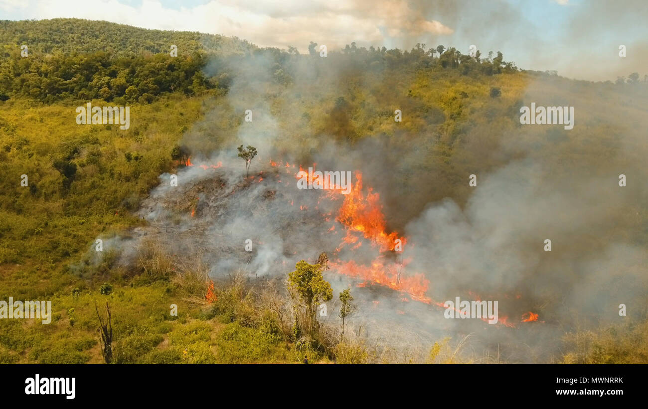 Fire jungle hi-res stock photography and images - Alamy
