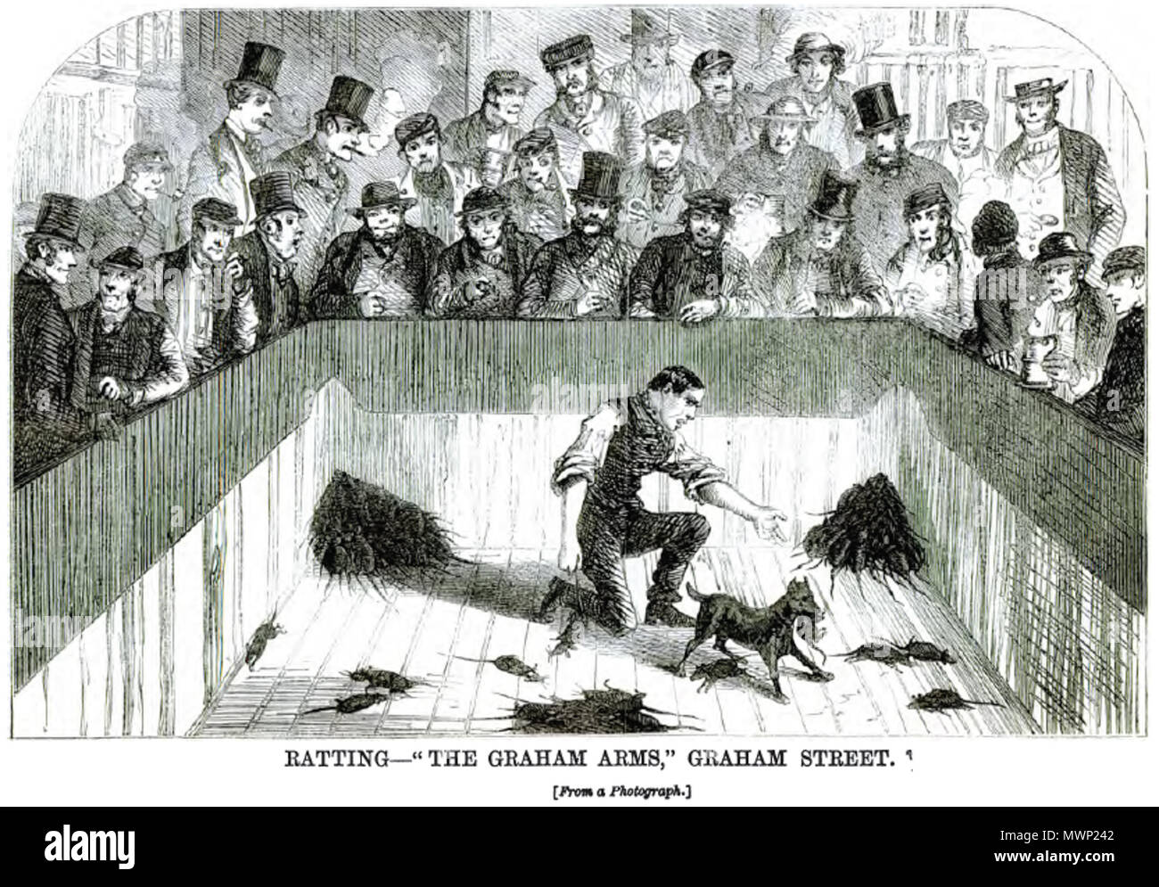 . English: An image taken from the book London labour and the London ...