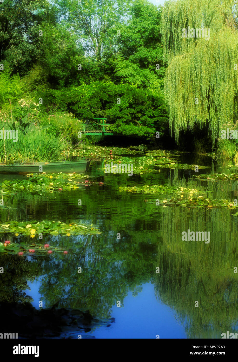 Monet water lily pond hi-res stock photography and images - Alamy