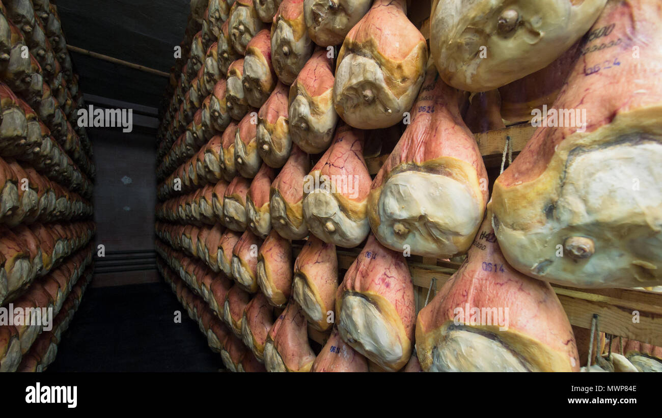 Thighs of ham during the curing process hanging in a cellar Stock Photo ...