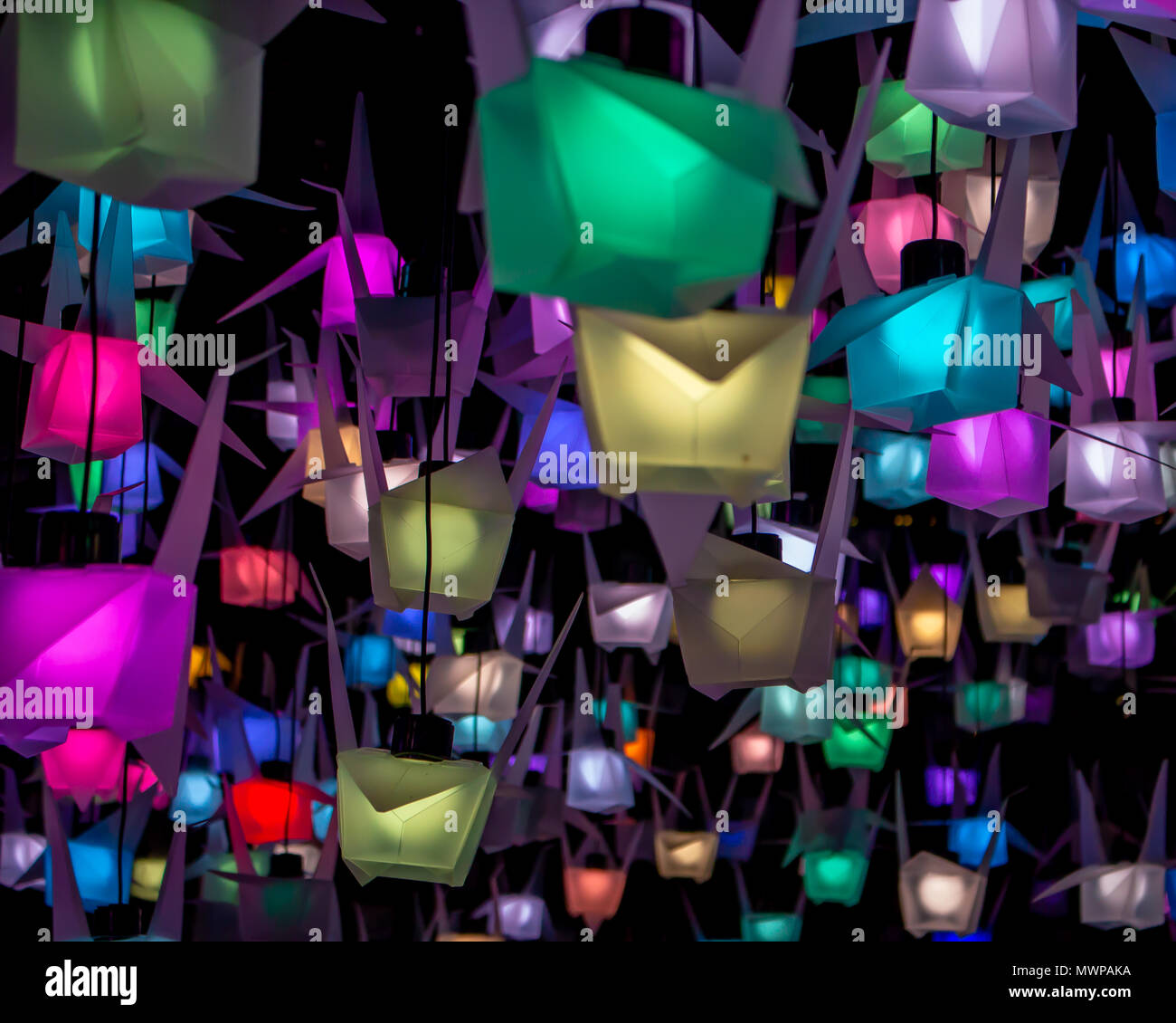 The 1000 cranes display at VIVID 2018 Stock Photo - Alamy
