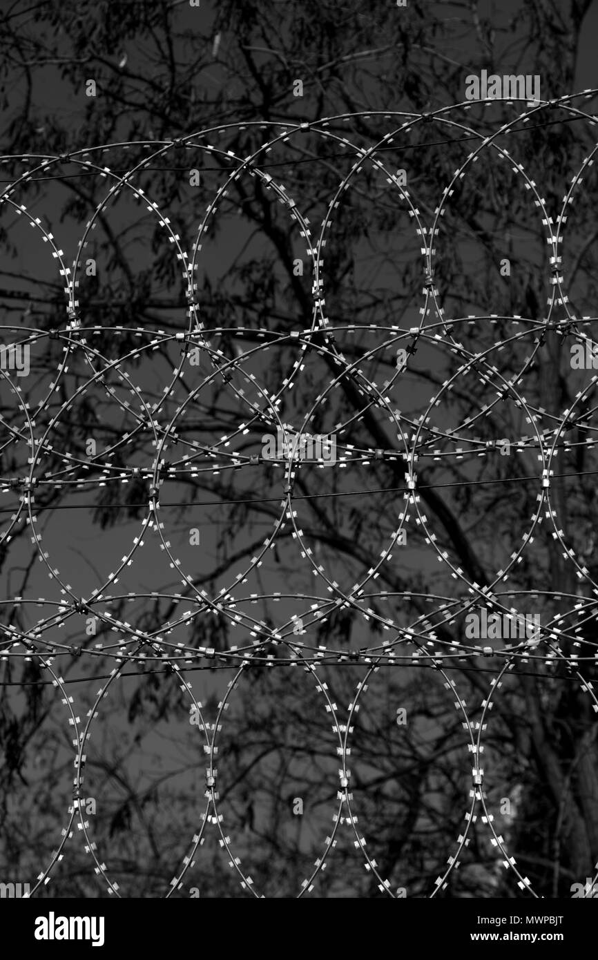 barbed wire fence used for protection purposes of a pproperty Stock ...