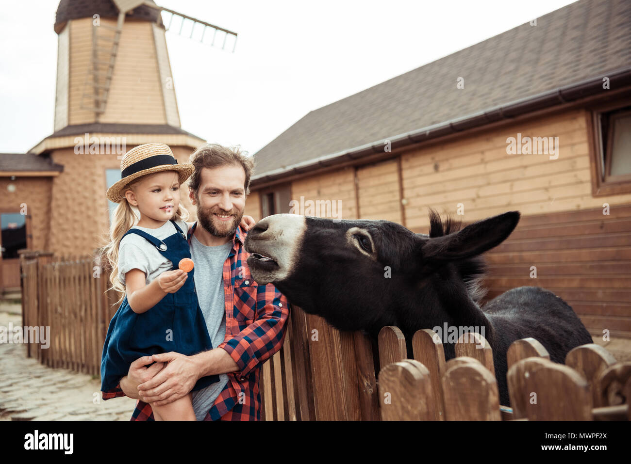 little girl and smiling father feeding donkey together in zoo Stock ...