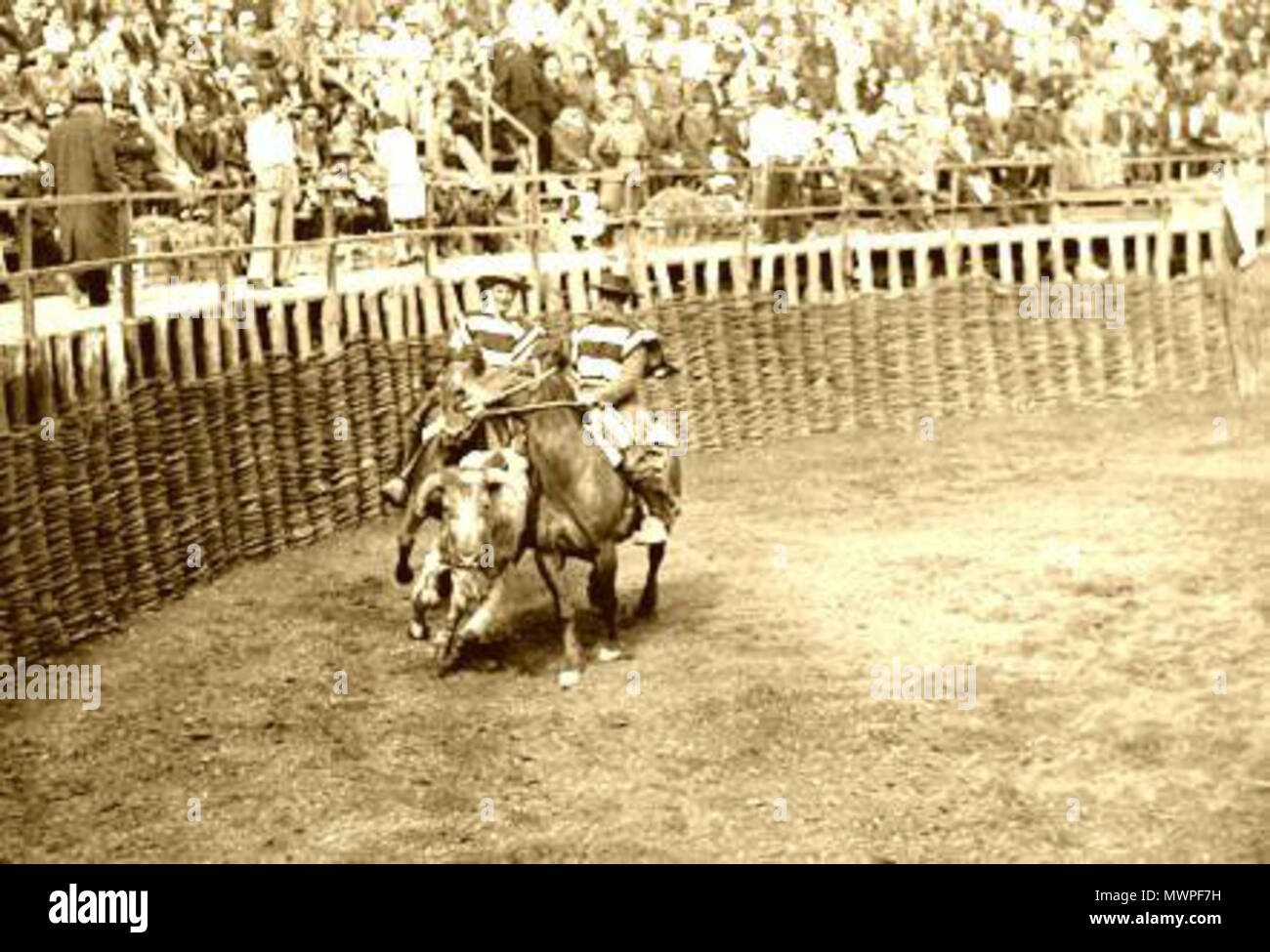 Historic rodeo hi-res stock photography and images - Alamy