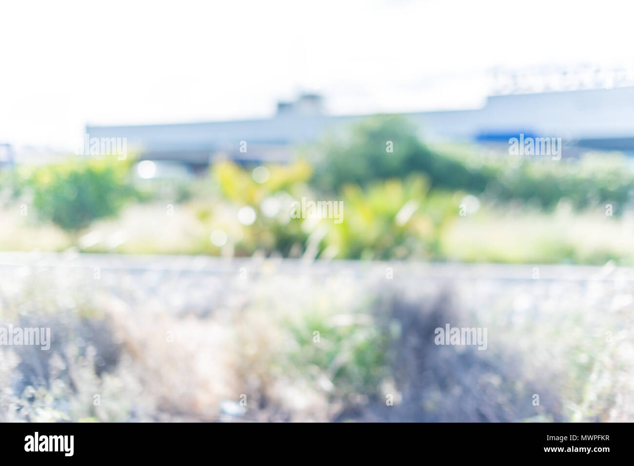 Defocused and blurred background, outdoor Stock Photo - Alamy