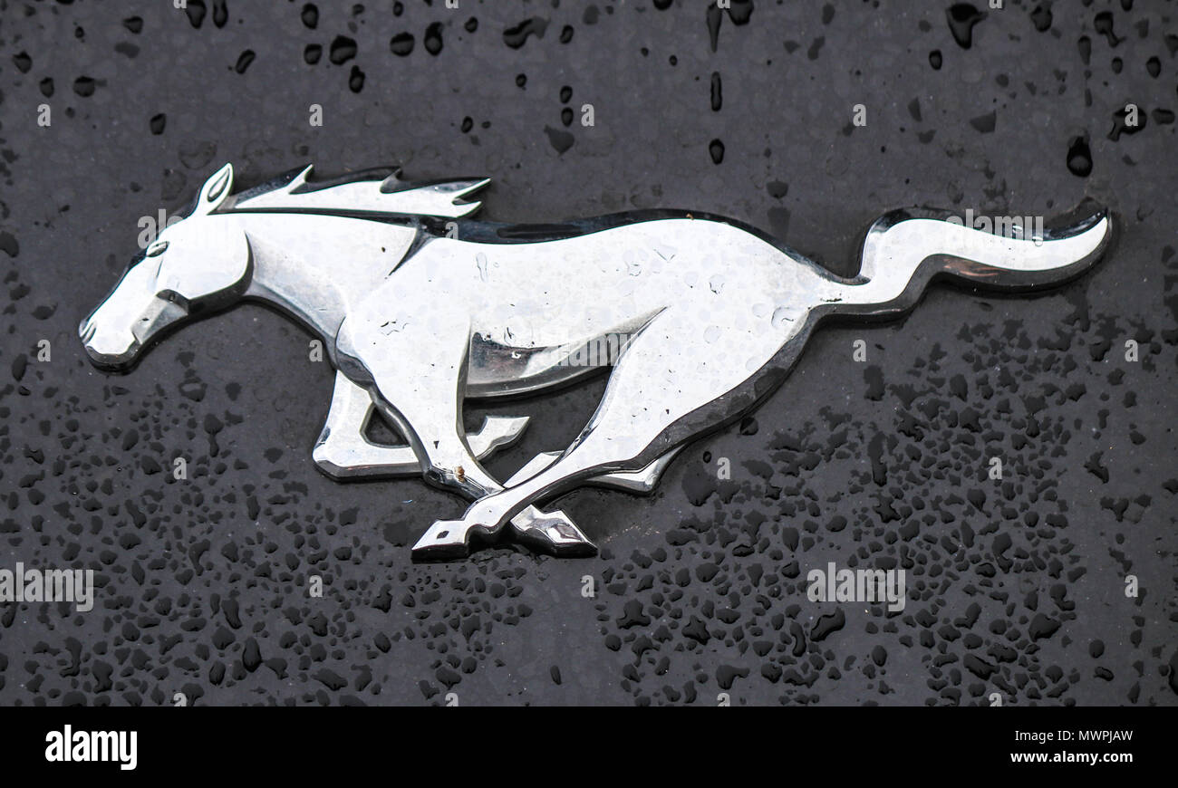 Mustang pony logo hi-res stock photography and images - Alamy