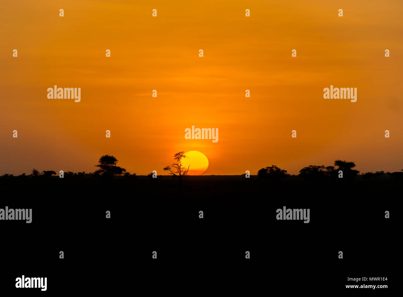 Scenic sunset over savannah landscape in Tanzania in East Africa Stock ...